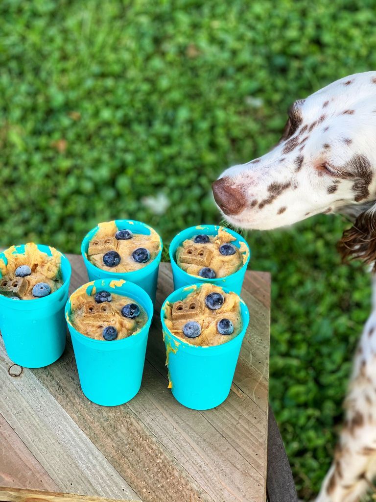 Homemade Dog Frozen Yogurt Recipe – My English Setters