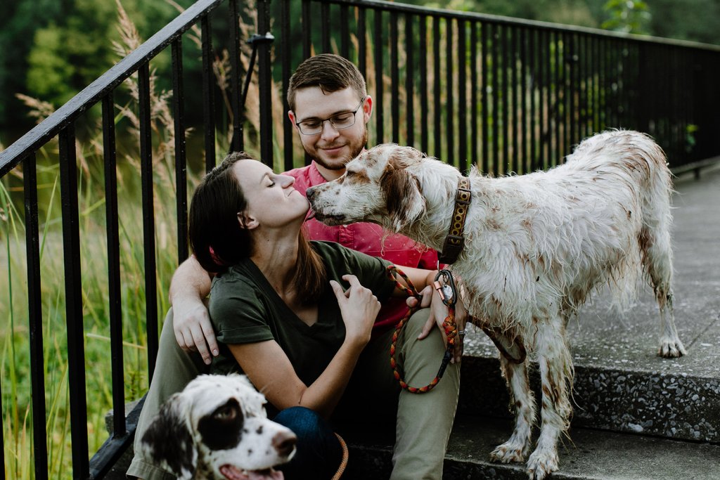 Homemade Dog Frozen Yogurt Recipe – My English Setters